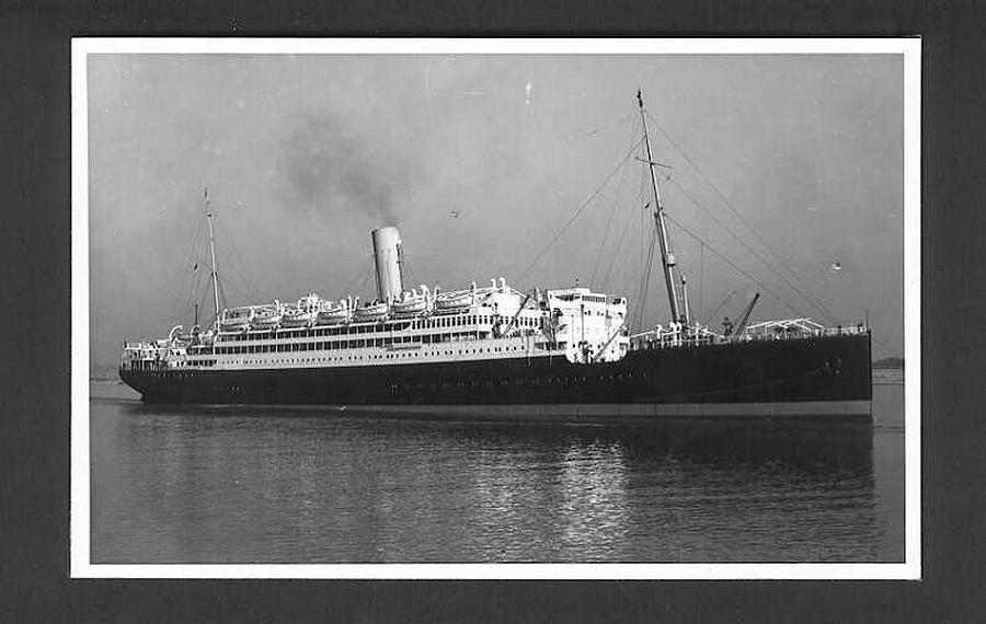 No.240 Almanzora launched in 1914 | The World's Passenger Ships
