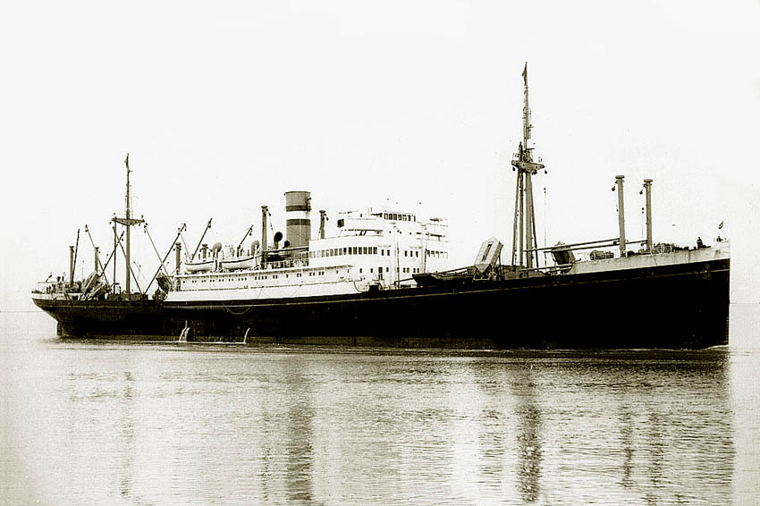 No.484 Delftdijk launched in 1929 | The World's Passenger Ships