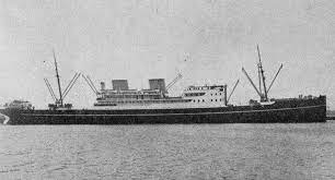 download | The World's Passenger Ships