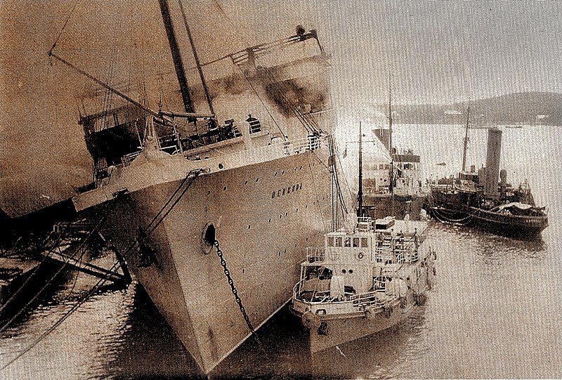 No.456 Bermuda launched 1927 | The World's Passenger Ships