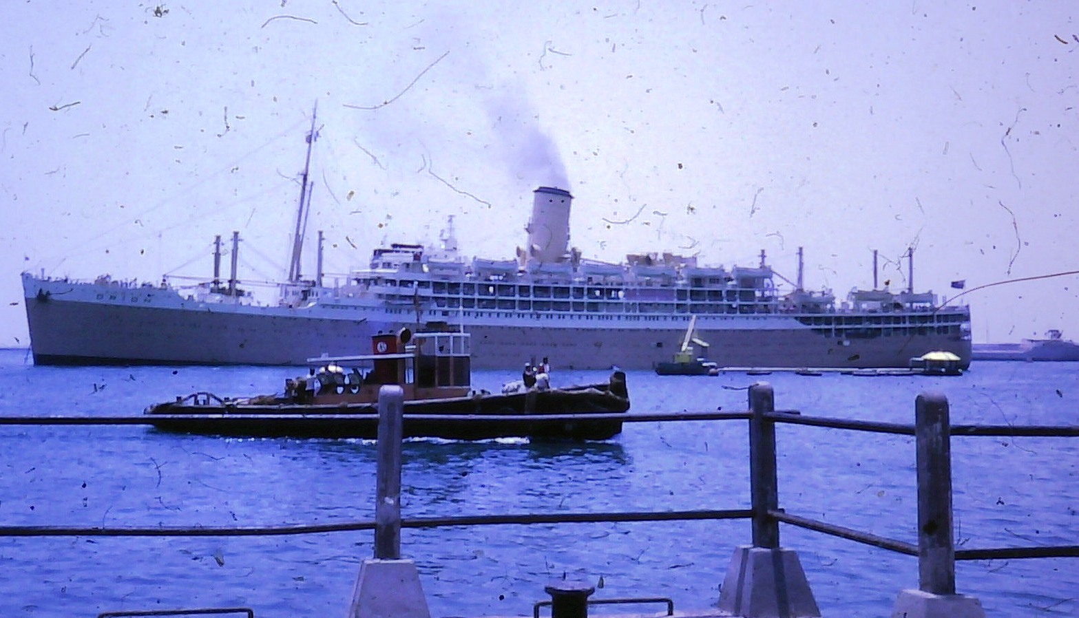 No.565 Orion launched in 1934 | The World's Passenger Ships