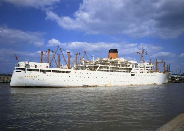 No.905 Amazon launched in 1959 | The World's Passenger Ships