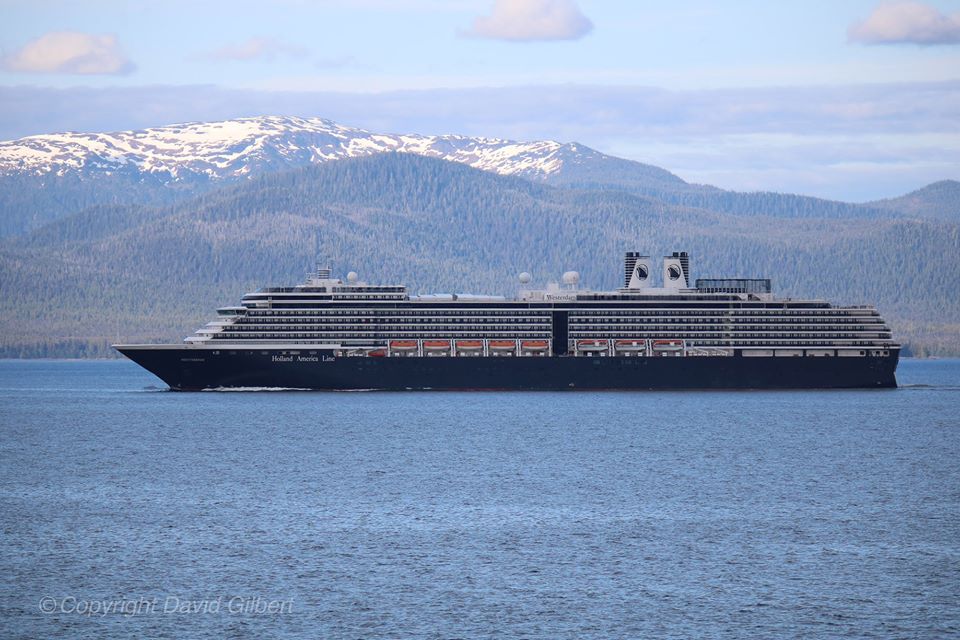 No.1620 Westerdam launched in 2003 | The World's Passenger Ships