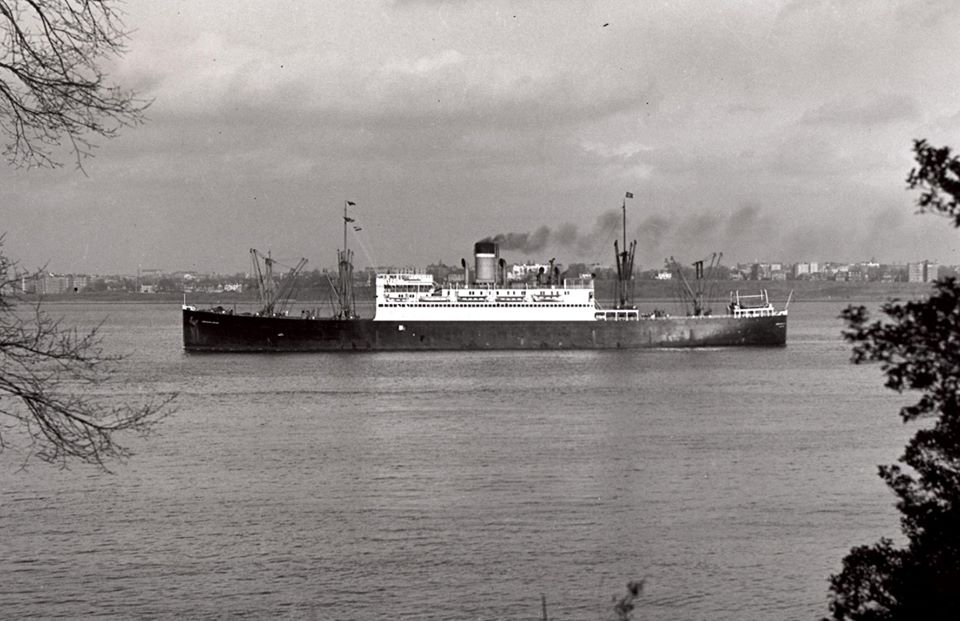 No.282 American Legion launched in 1919 | The World's Passenger Ships