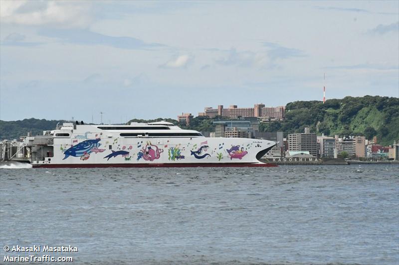 No.1729 Natchan World launched in 2008 | The World's Passenger Ships