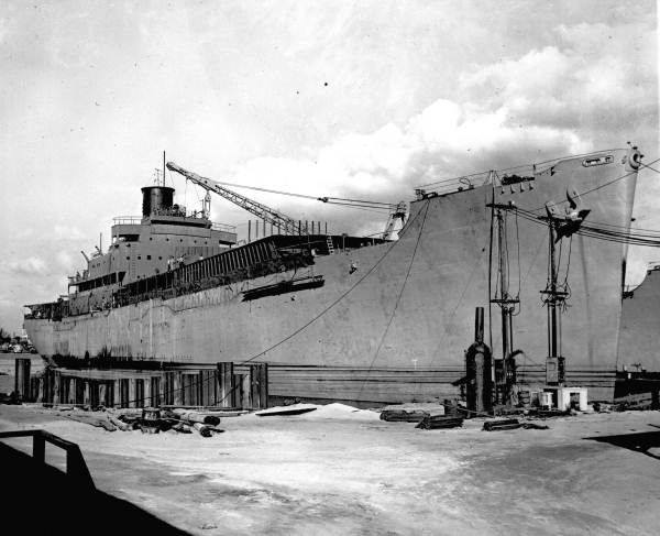 roma-as-cargo-ship | The World's Passenger Ships